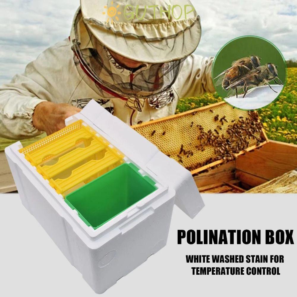 GUTHOP Queen Bee Breeding Box, Foam Bee Hive Box กันน้ํา Beekeeper ...