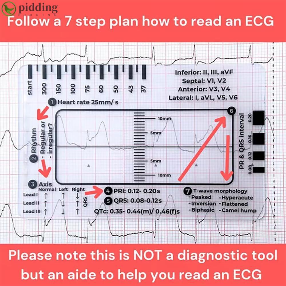 PIDDING EKG คาลิปเปอร์, ECG/EKG แบบพกพา ECG 7 ขั้นตอนไม้บรรทัด ...