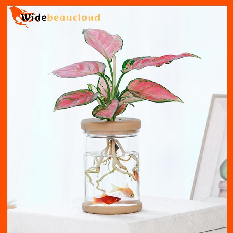 Widebeaucloud Lazy Transparent Hydroponic การดูดซับน้ําอัตโนมัติ ...