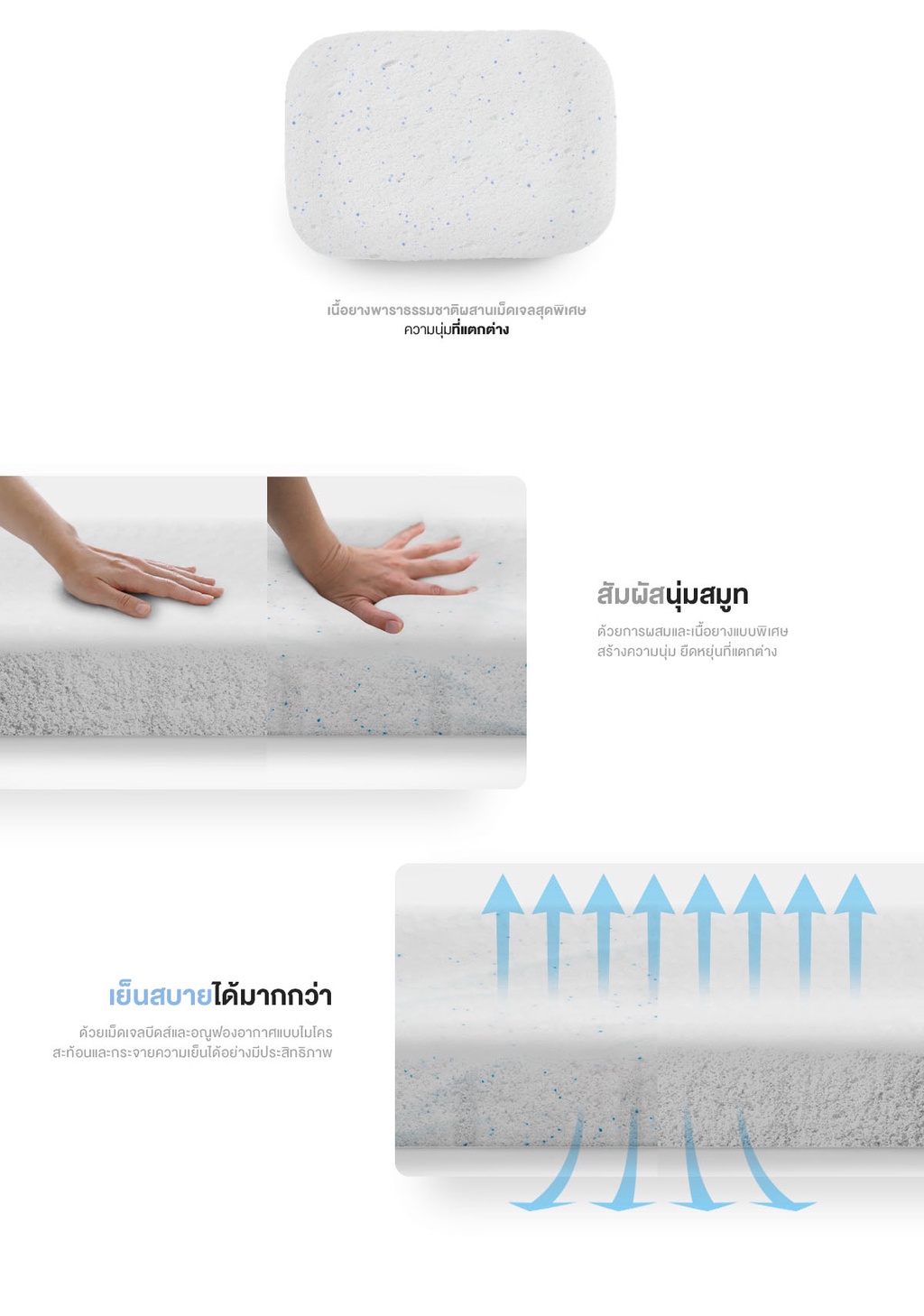 SiamLatex ที่นอนยางพาราแบบเย็น รุ่น Smooth Tempur ผลิตจากยางพาราและคูล ...
