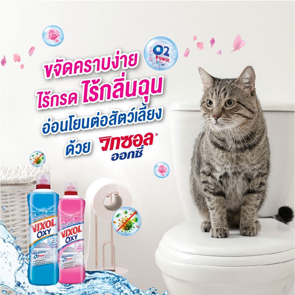 Vixol Oxy Bathroom Cleaner วิกซอล ผลิตภัณฑ์ล้างห้องน้ำ 700ml (Floral ...