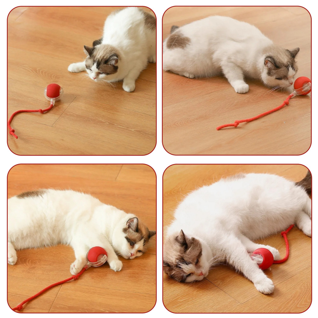 PetStern ของเล่นแมวอัจฉริยะ ลูกบอลแมวอัติโนมัติ Cat Toy เรืองแสง ลูกบอล ...