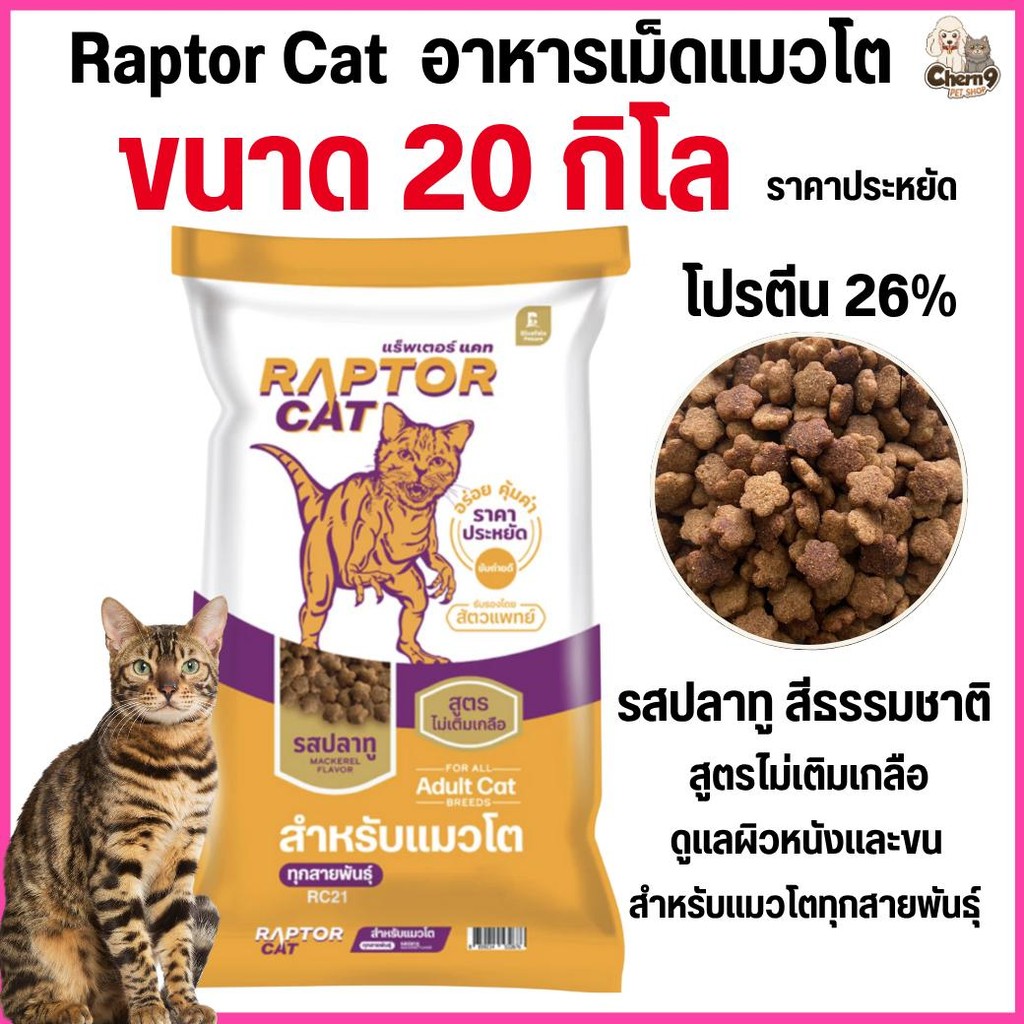 [[ขนาด 20 กิโล]]n อาหารแมว RAPTOR CAT โปรตีน 26% ไม่เติมเกลือ โภชนาการ ...