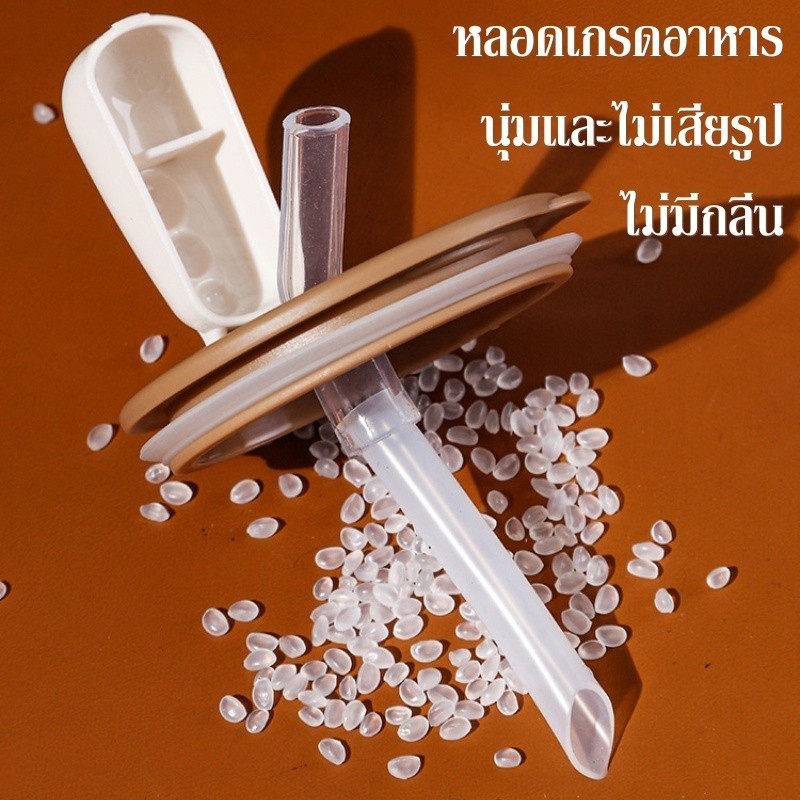 ถ้วยหัดดื่ม ถ้วยเด็ก Capybara วัสดุสแตนเลส แก้วหัดดื่มกันสำลัก ถ้วยฝึกดูดหลอด 280ML | Shopee ...