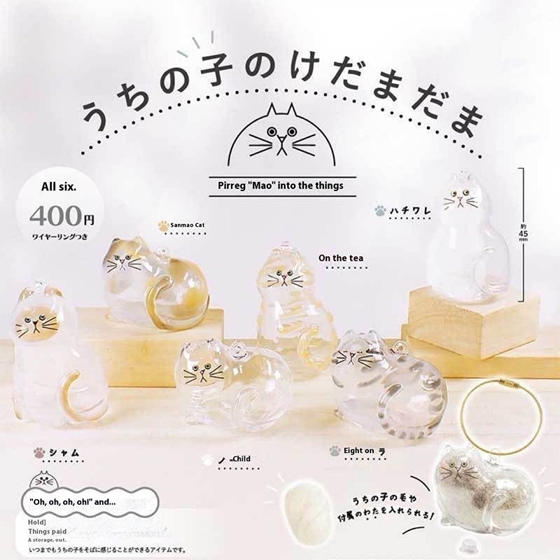 พวงกุญแจใสกล่องเก็บขนแมวแขวน Gaunt Cat Hair Storage Capsule | Shopee ...