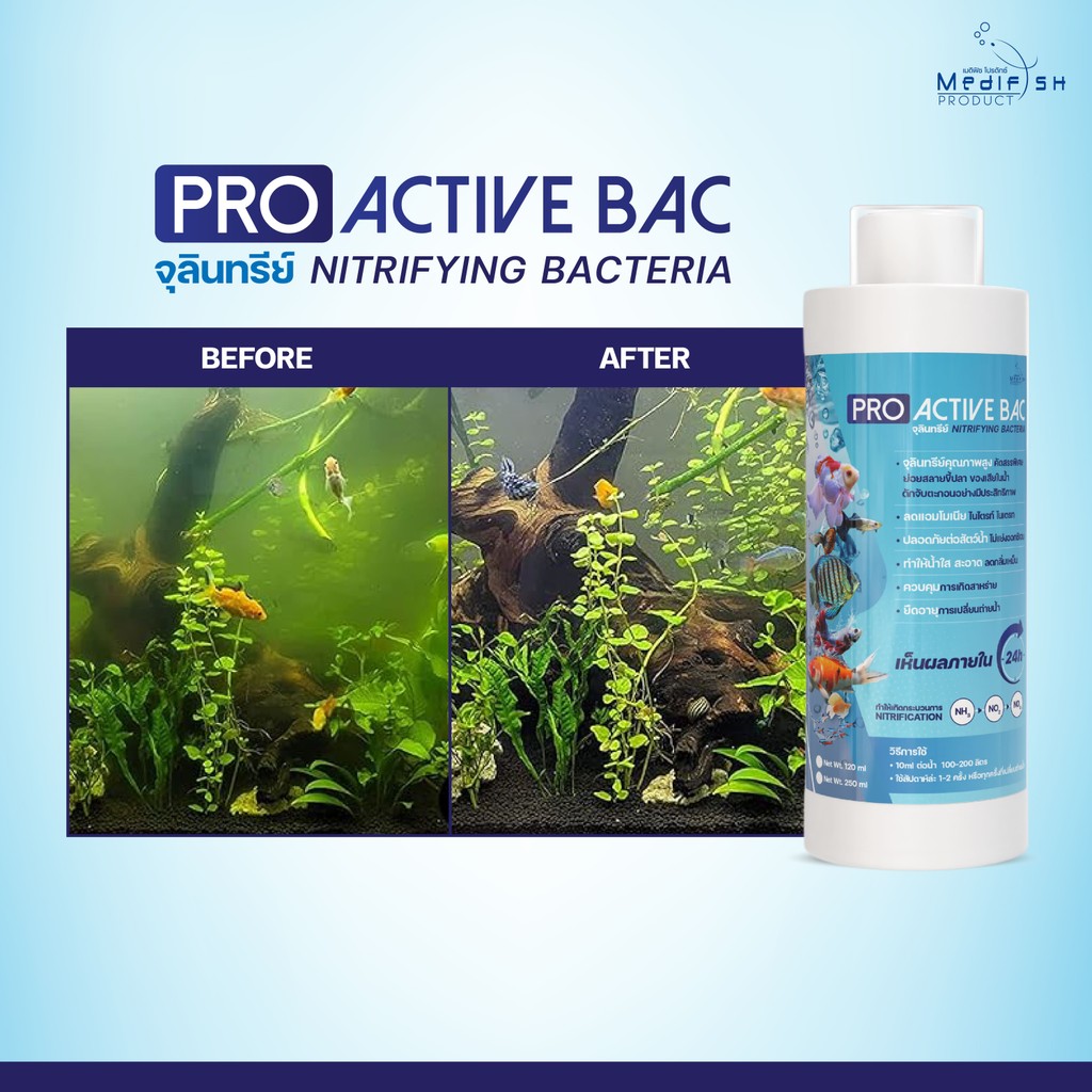 จุลินทรีย์ Nitrifying Bacteria, PRO ACTIVE BAC ช่วยให้น้ำใสสะอาด ย่อยสลายของเสีย ลดเชื้อโรคในน้ำ ...