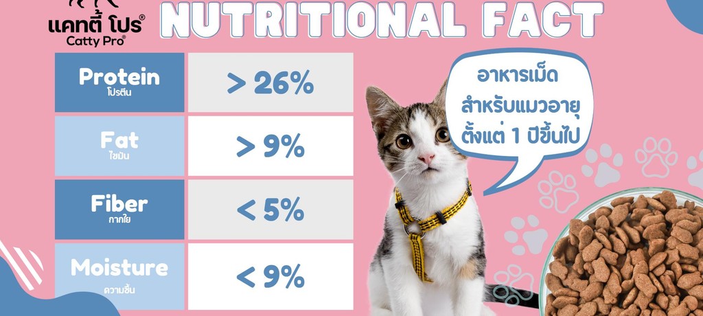 [[ จำนวน 10 ถุง ]] แคทตี้โปร อาหารแมวเม็ด Catty Pro สำหรับแมวโต อายุ 1 ...