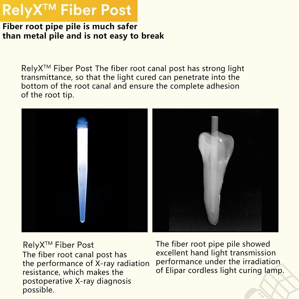 New3M Espe Root Canal Fiber Post 10 ชิ้น/กล่อง | Shopee Thailand