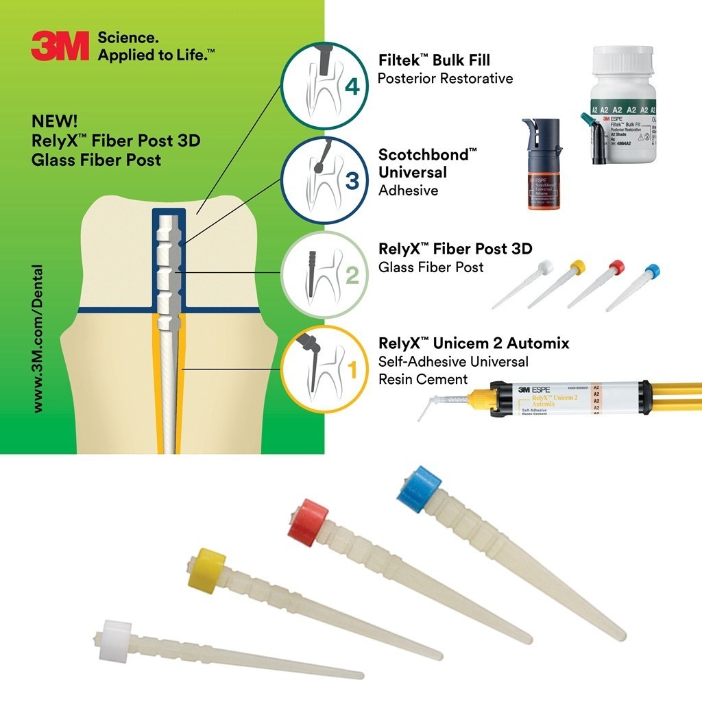 New3M Espe Root Canal Fiber Post 10 ชิ้น/กล่อง | Shopee Thailand
