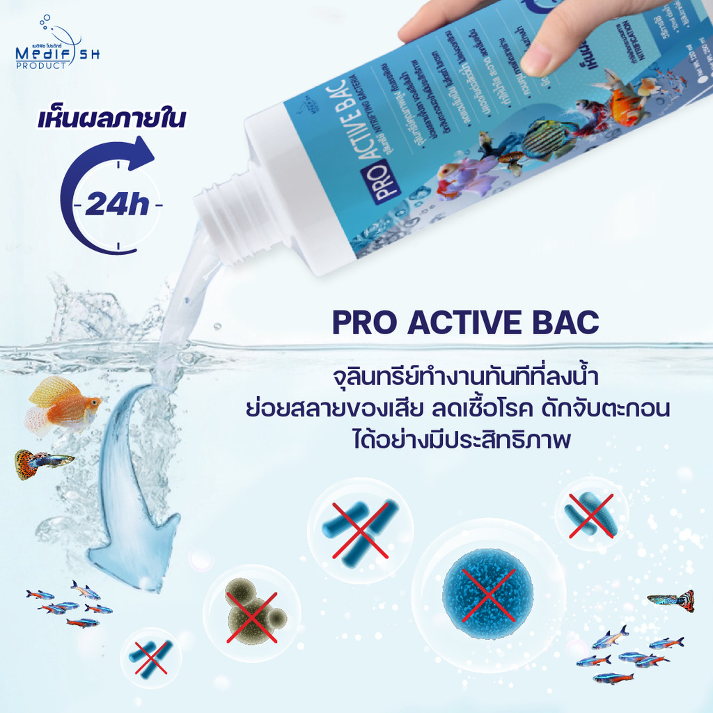 จุลินทรีย์ Nitrifying Bacteria, PRO ACTIVE BAC ช่วยให้น้ำใสสะอาด ย่อยสลายของเสีย ลดเชื้อโรคในน้ำ ...