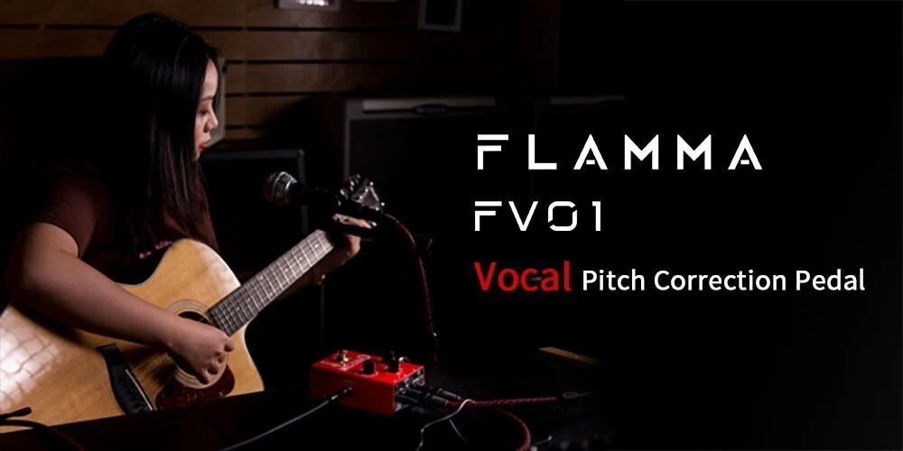 Original FLAMMA FV01 FV02 FV03 FV04 FV05 Vocal Effects โปรเซสเซอร์ ...