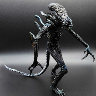 Alien NECA Action Figure Aliens Xenomorph Warrior Blue Predators Riple ...