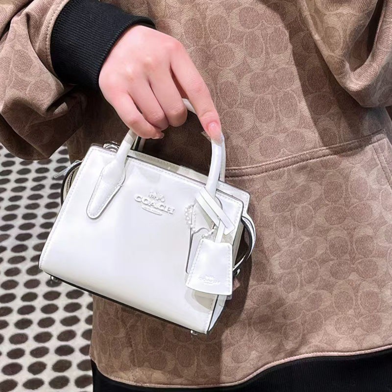 ในสต็อก Coach Original Order Andrea Mini Hand-held Ladies One-Shoulder ...