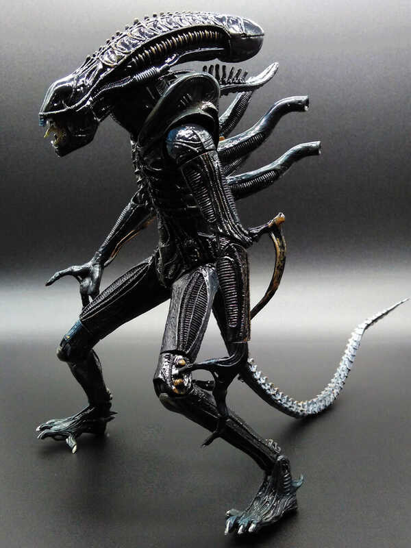 Alien NECA Action Figure Aliens Xenomorph Warrior Blue Predators Riple ...