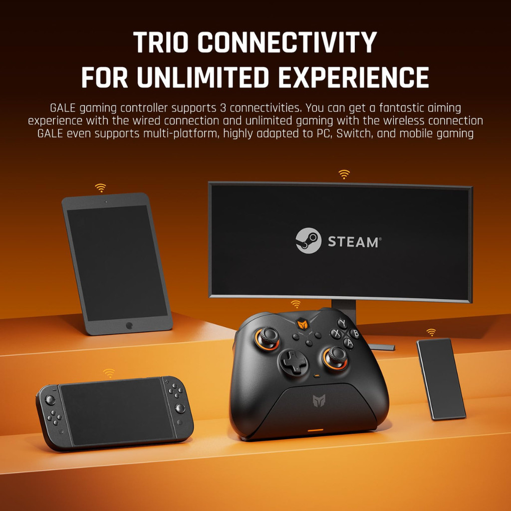 [สินค้าใหม่] Tinzshop BIGBIG WON Gale Hall Wireless Controller For ...