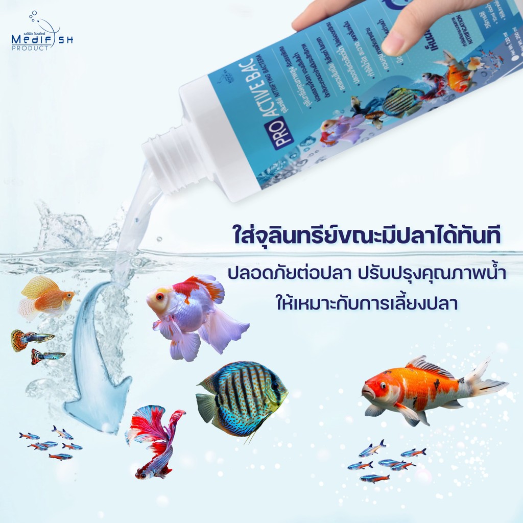 PRO ACTIVE BAC จุลินทรีย์ Nitrifying Bacteria ช่วยให้น้ำใสสะอาด ย่อยสลายของเสีย ลดเชื้อโรคในน้ำ ...