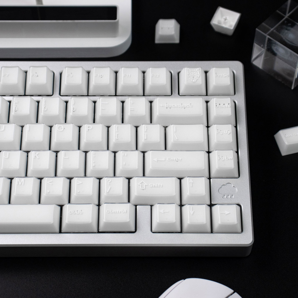 Aifei X-ray keycaps 114 คีย์สีขาวโปร่งแสง ABS Double shot โปรไฟล์ ...