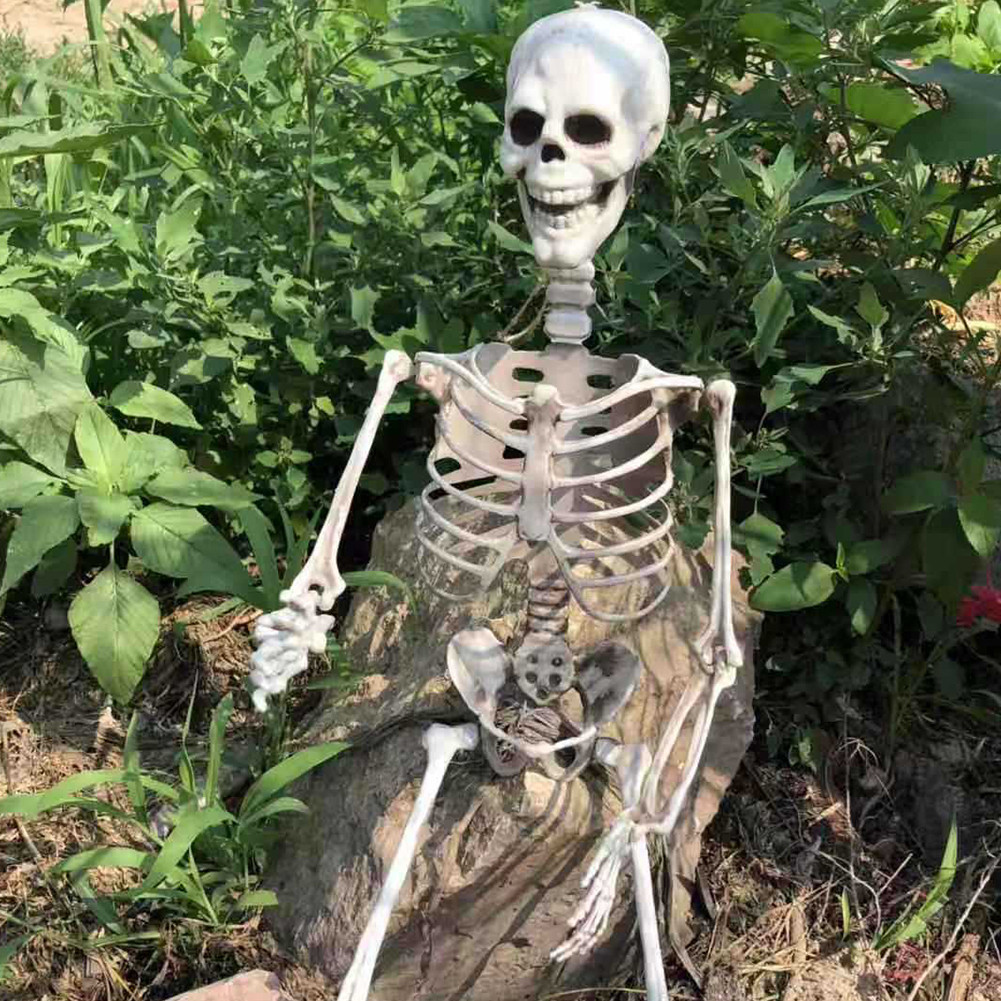 Horror Anatomy 170cm Movable Skull Props Poseable Full Life Size ...