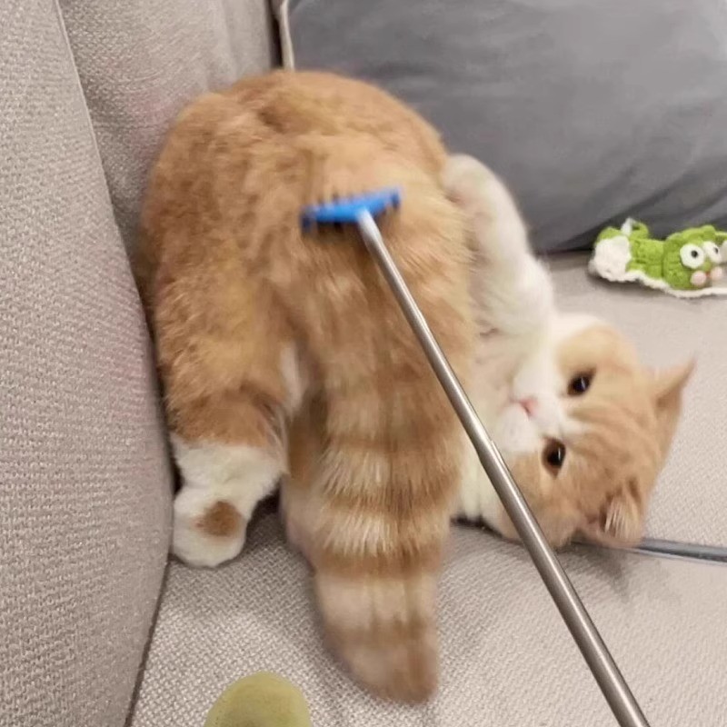 Influencer ของเล่นแมว Retractable Scratching Cat Teasing Stick ยาว Rod ...