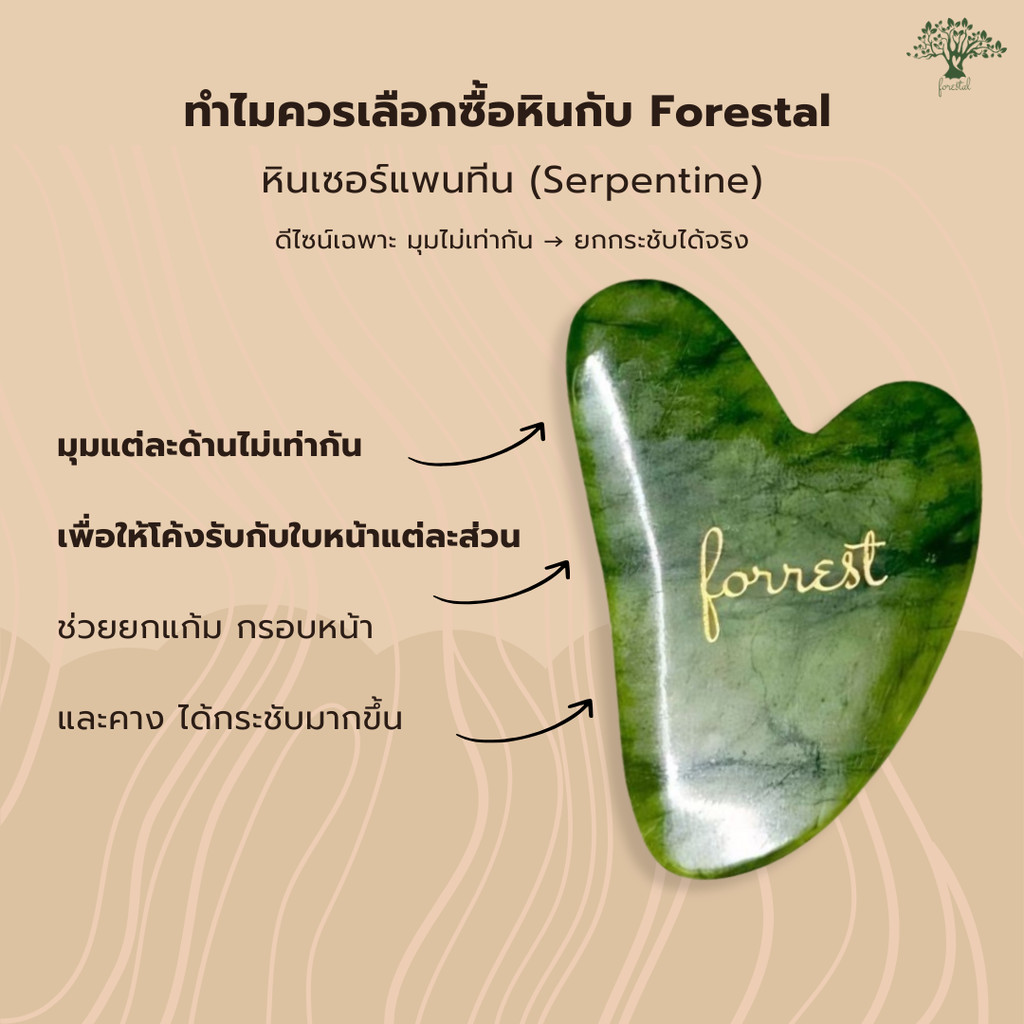 กัวซา หินหยกเซอร์เพนทีน Forrest Jade Serpentine Gua Sha นวดหน้า ยก ...