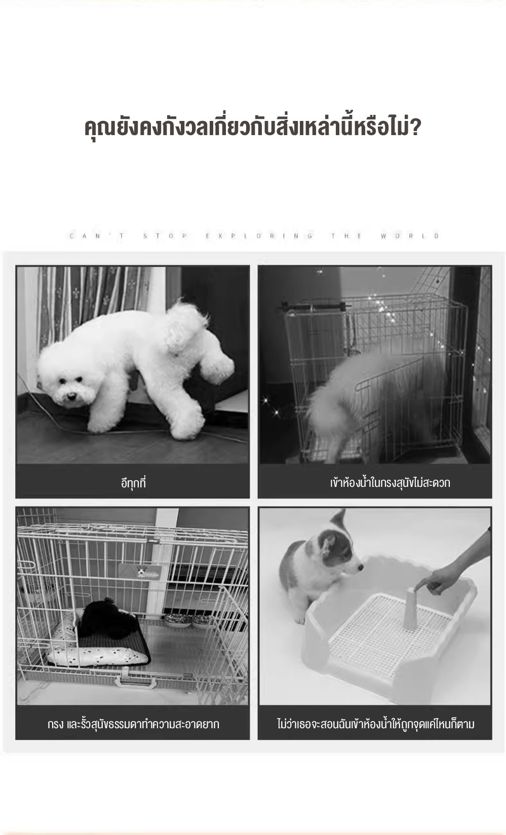 รั้วสุนัข DIY กรงสุนัขใหญ่ รั้วสัตว์เลี้ยง คอกสัตว์เลี้ยง คอกหมา กรง ...