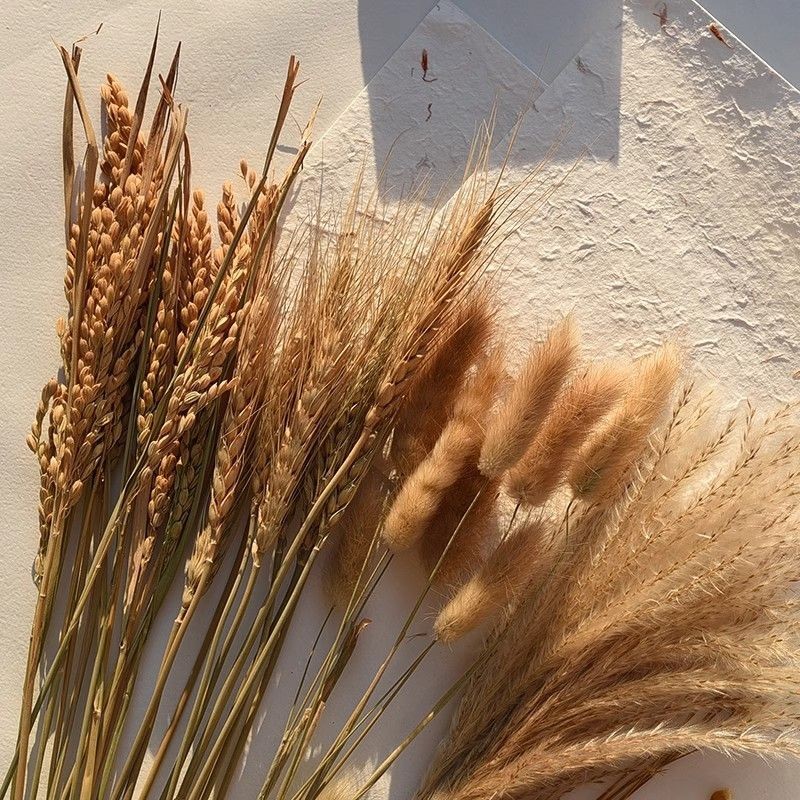 Happy Flower Wheat Wheat Ears Rabbit Tail Tail Flower Flower | Shopee ...