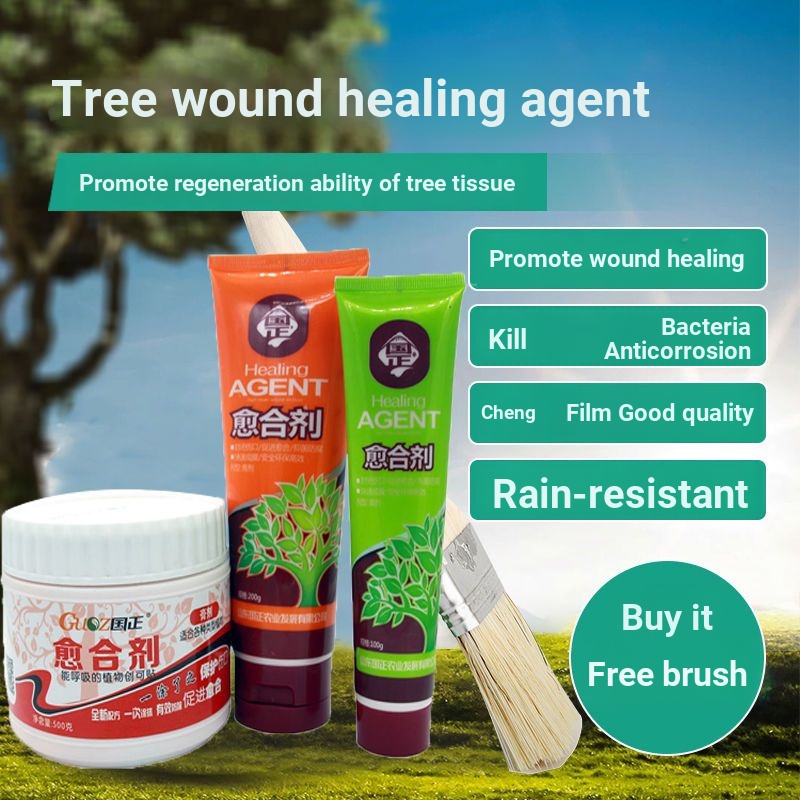 พืชแผล Healing Agent พืชต้นไม้แผล Healing Agent ต้นไม้ผลไม้ Grafting ยา ...