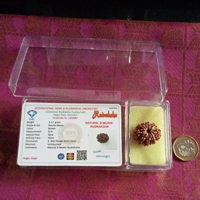 ของแท้ Lab Tested เนปาล 9 Face Rudraksha | Shopee Thailand