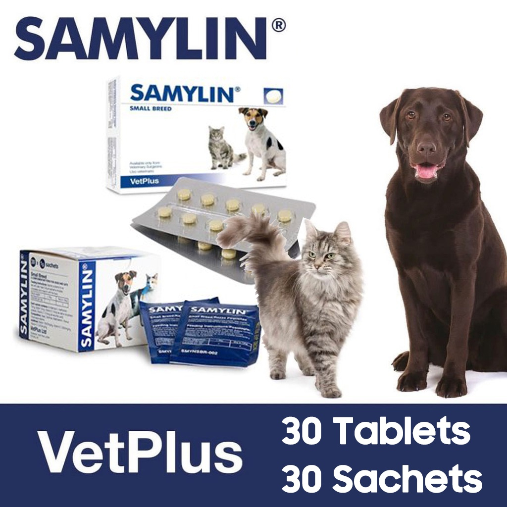 Vetplus Samylin อาหารเสริมสําหรับสุนัขและแมว ขนาดเล็ก 30 เม็ด / ซอง เพื่อสุขภาพ | Shopee Thailand