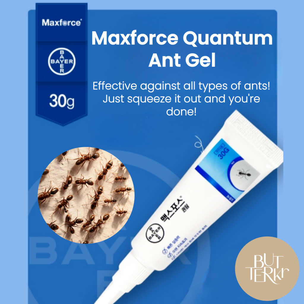 Bayer Maxforce Quantum 30g Ant gel เจลกำจัดมดขั้นเทพ เห็นผลไว ควบคุมมด ...
