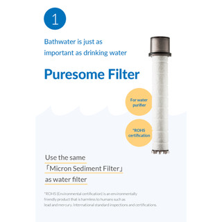 [READY TO SHIP] BODYLUV PURESOME SHOWER HEAD & FILTER | Shopee Thailand