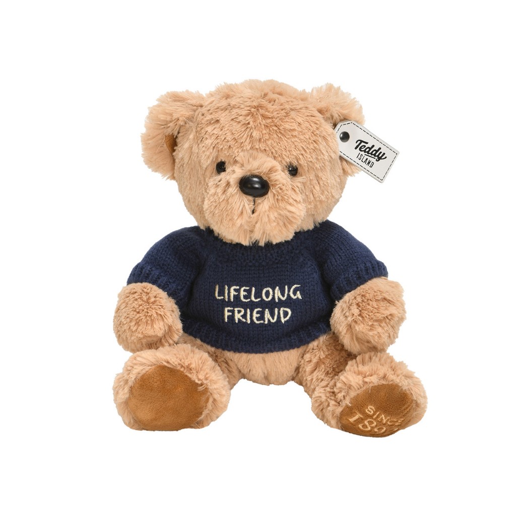 Teddy ISLAND TEDDY หมีข้อความ | Shopee Thailand