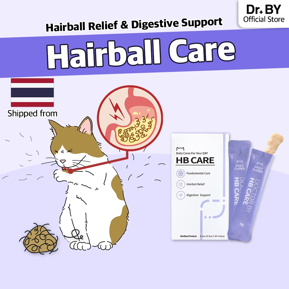 [DR.BY Hair BALL CARE] Cat Treat Stick Ciao อาหารเสริมเพื่อสุขภาพแบบ ...
