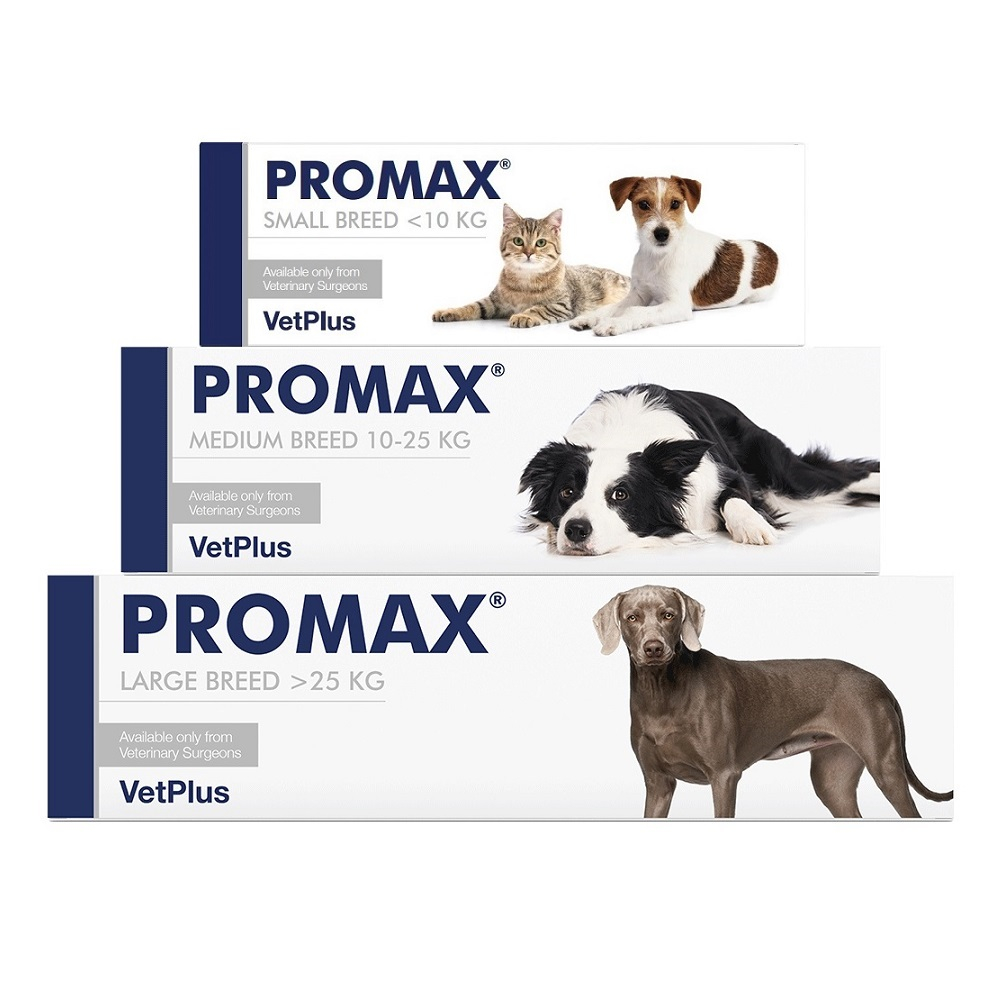 [VetPlus] PROMAX for Dogs & Cats / อาหารเสริมสำหรับช่วยระบบย่อยอาหาร ...