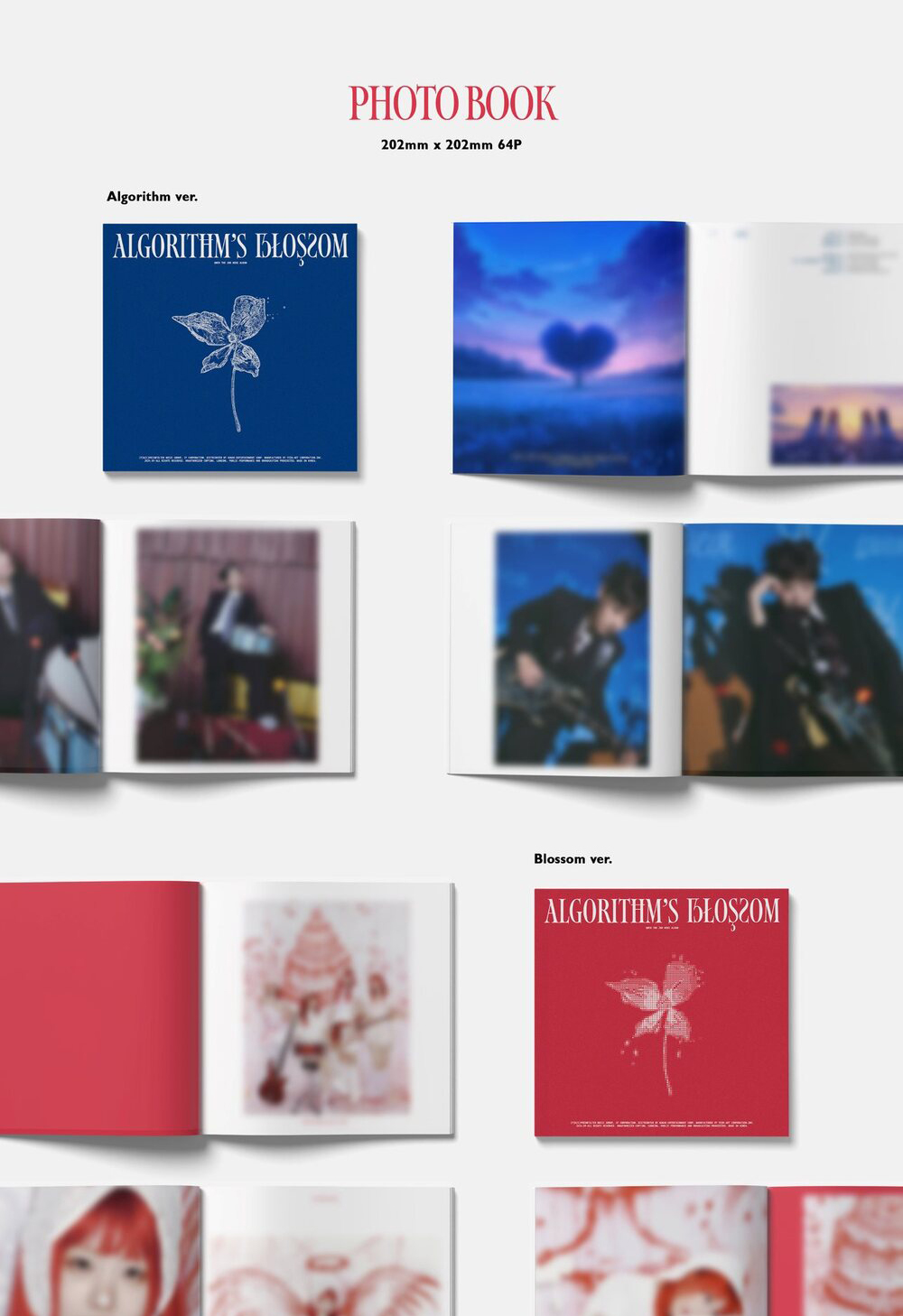 QWER [ALGORITHM'S BLOSSOM] 2nd MINI ALBUM (24th Sep.2024) | Shopee Thailand