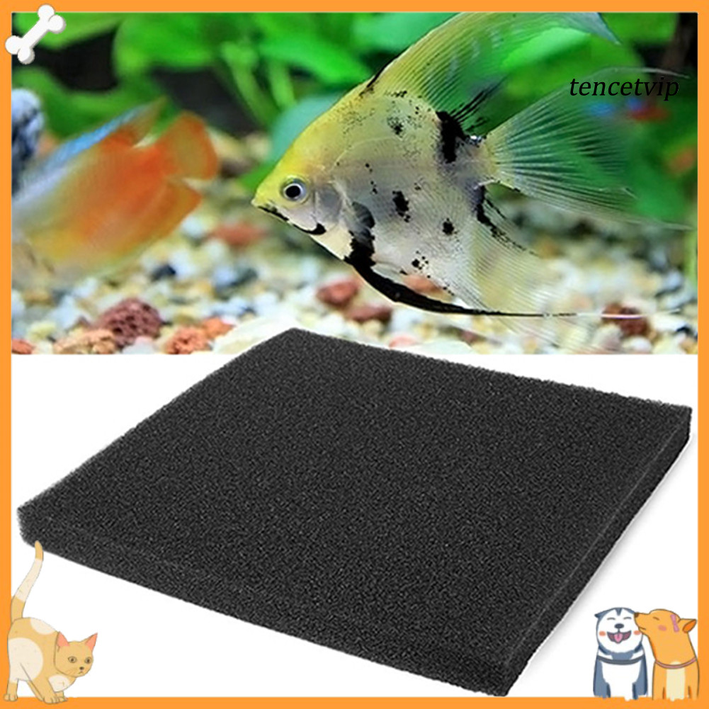 [Vip] Bio Chemical Filter Foam Fish Pond การกรอง Fish Tank Aquarium ...