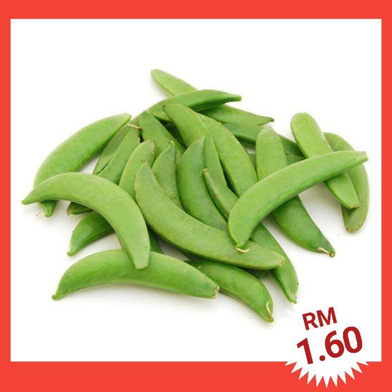 หน้าแรก/หน้าหลัก/หน้าหลัก/หน้าหลัก/หน้าหลัก/หน้าไบค์/ บริษัท/กระ/พอิท/มัสตาร์ด/ MKMG | Shopee ...