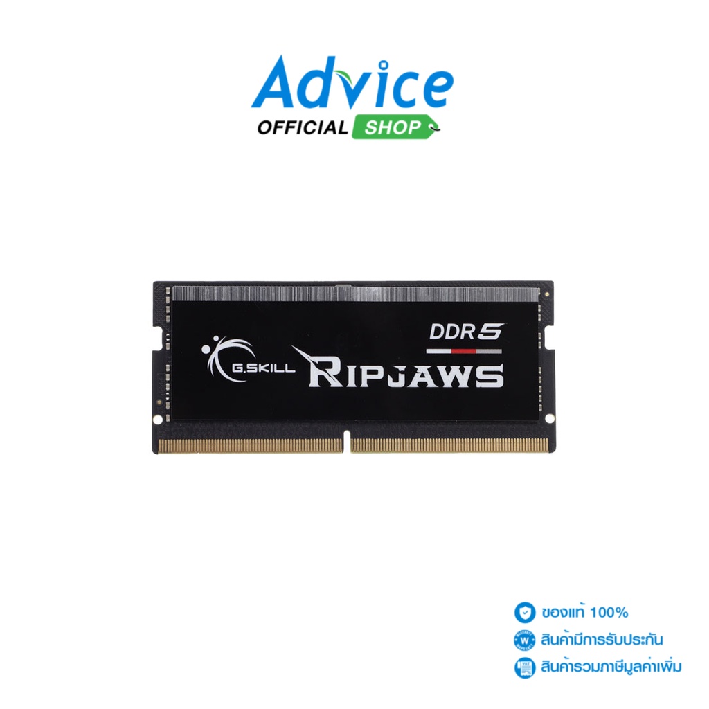 G.SKILL RAM DDR5(4800, NB) 16GB RIPJAWS (F5-4800S3434A16GX1-RS ...