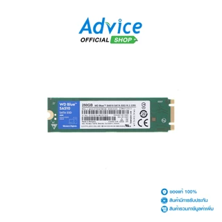 500GB SSD (เอสเอสดี) WD BLUE M.2 2280 (WDSSD500GB-M.2) 3D NAND ...