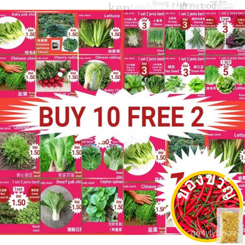 หน้าแรก/หน้าหลัก/หน้าหลัก/หน้าหลัก/หน้าหลัก/หน้าไบค์/ บริษัท/กระ/พอิท/มัสตาร์ด/ MKMG | Shopee ...