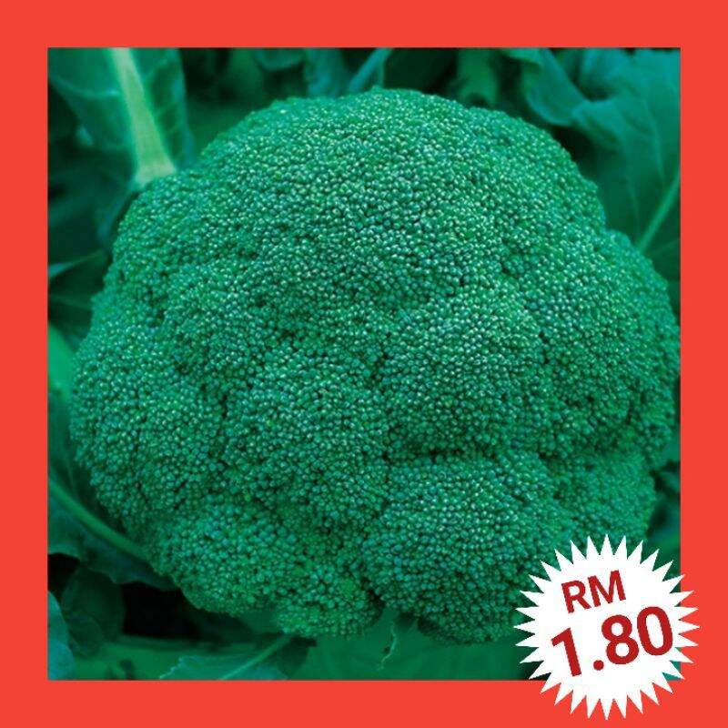 หน้าแรก/หน้าหลัก/หน้าหลัก/หน้าหลัก/หน้าหลัก/หน้าไบค์/ บริษัท/กระ/พอิท/มัสตาร์ด/ MKMG | Shopee ...