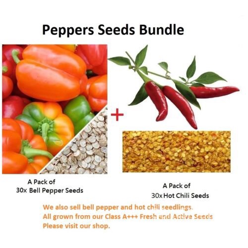 เมล็ด Peppers Seeds Bundle - 30 Sweet Bell Pepper 30 Hot Chili Pepper ...