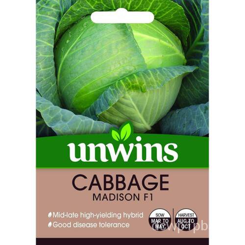 เมล็ด Unwins Home Grown Vegetables Hybrid Madison F1 Ball-head Cabbage ...