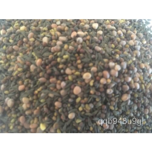 เมล็ด 1ปอนด์ Microgreens Pacific Mixed Salad Sprout Micro Green Organic ...