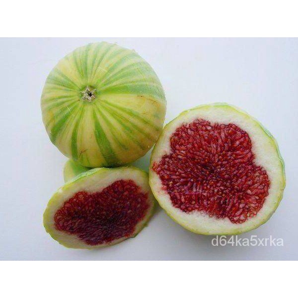 อินทรีย์็ด ใหม่็ด 10 ใหม่็ด ใหม่็ดมะเดื่อฝรั่ง Figs สายใหม่ Tiger ...