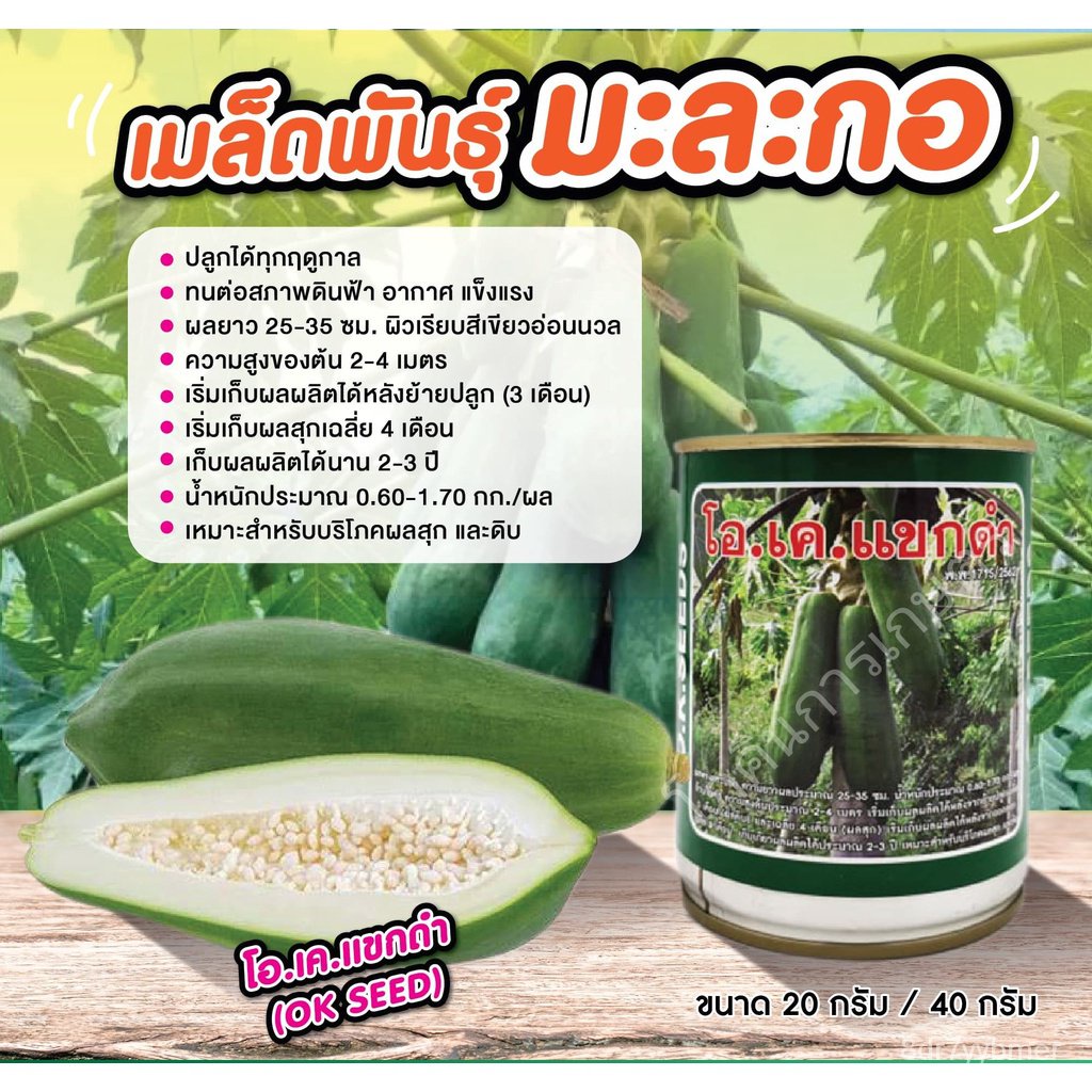 เมล็ดพันธุ์มะละกอแขกดำ (OK SEED) ขนาด 40 กรัมเมล็ดพันธุ์ FEMQ | Shopee Thailand
