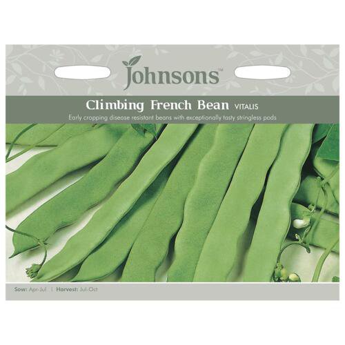 เมล็ด Johnsons Vegetable Seeds Climbing French Bean Vitalis Green Long ...