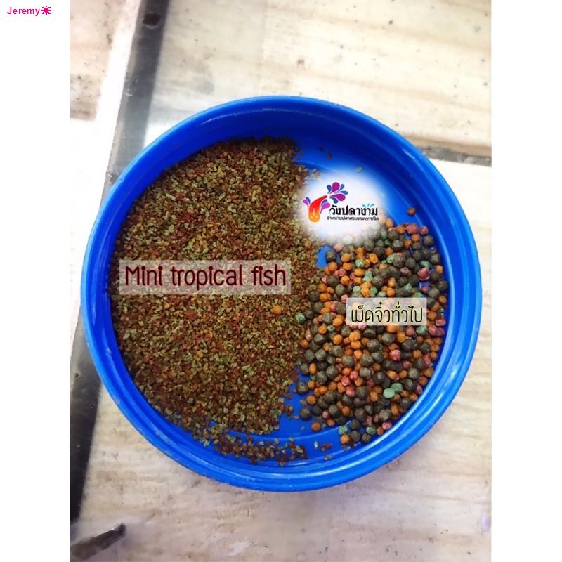 สปอตสินค้าอาหารปลาเล็กพิเศษทุกชนิด Kingfish mini tropical fish 60g ...