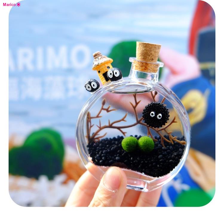 COD(พร้อมส่ง100%) มาริโมะ Marimo Set ขวดทรงน้ำหอม แถมฟรีอุปกรณ์ครบชุดพร้อมเลี้ยง สาหร่ายตกแต่ง ...