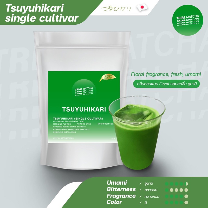 TRIAL MATCHA | ผงมัทฉะอุจิสายพันธุ์เดี่ยว Tsuyuhikari Single cultivar ...